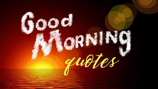 240+ Funny Good Morning Quotes to Brighten Your Morning