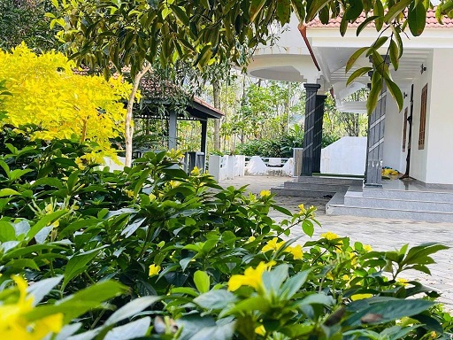 Embracing the Beauty of Nature: 50 Greenery Quotes to Inspire You