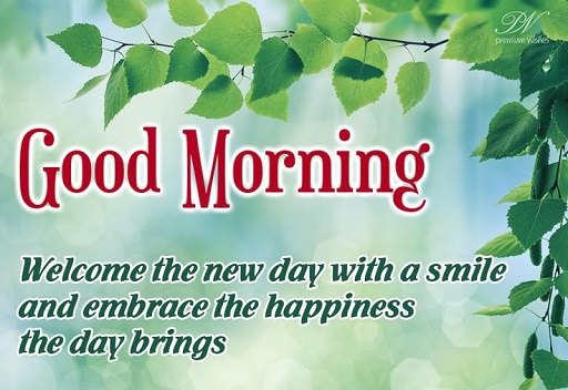 200+ Quotes on Rising Sun: Inspiring Words to Start Your Day