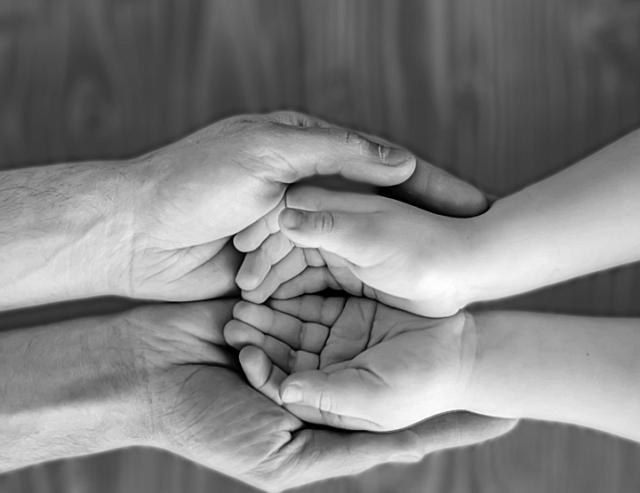 Blooming Wisdom: Exploring Daisy Sayings and Their Timeless Beauty