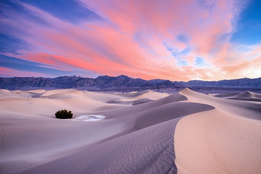 150+ Desert Captions for Instagram: Celebrating the Arid Beauty