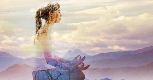 Finding Peace in Chaos: 150 Quotes to Calm Your Soul