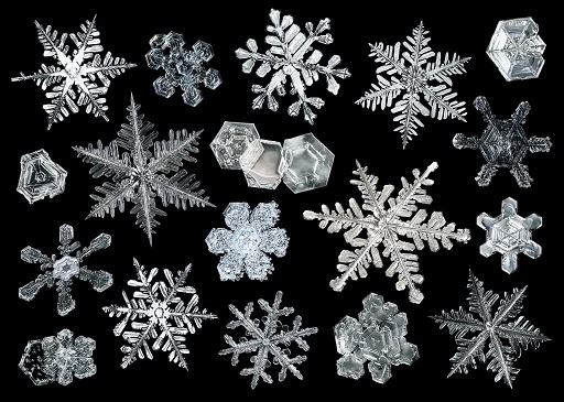 200 Captions on Snowflakes Quotes: The Unique Beauty of Nature's Art