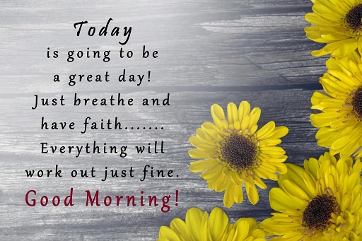 Sunflower Captions: Brighten Your Day with 250 Captivating Quotes