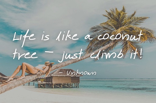250+ Captivating Tree Captions: Embrace the Beauty of Nature
