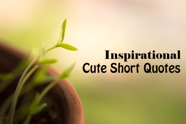 Adorable and Inspiring: A Collection of Cute Short Quotes