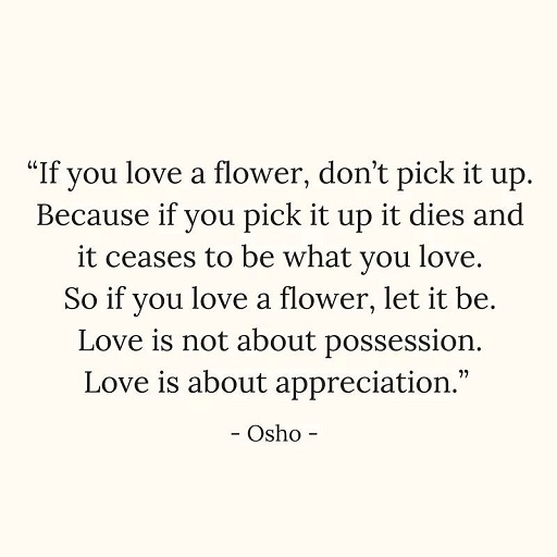 Exploring the Essence of Love through Short Quotes