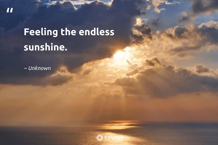 Chasing the Sun: Inspiring Sun Quotes in English