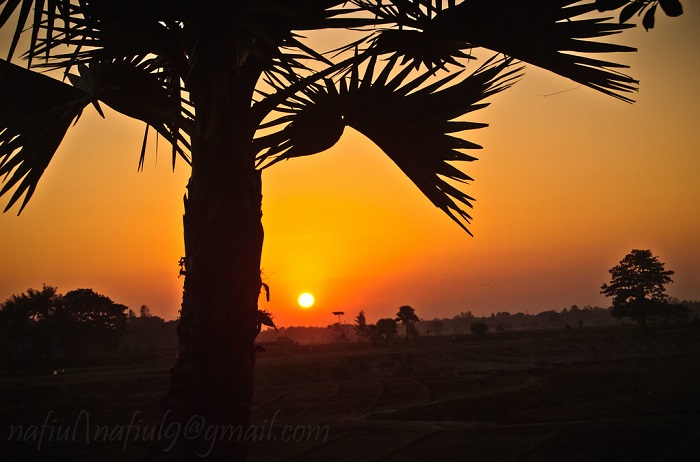 Chasing the Sun: Inspiring Sun Quotes in English