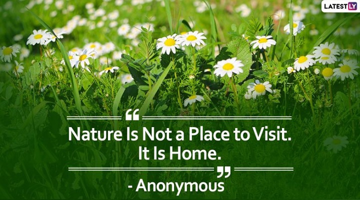 Embracing Nature's Poetry: Inspiring Greenery Quotes to Enliven Your Soul