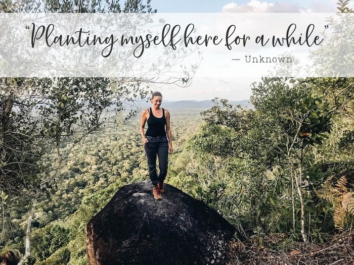 Embracing Nature's Poetry: Inspiring Greenery Quotes to Enliven Your Soul