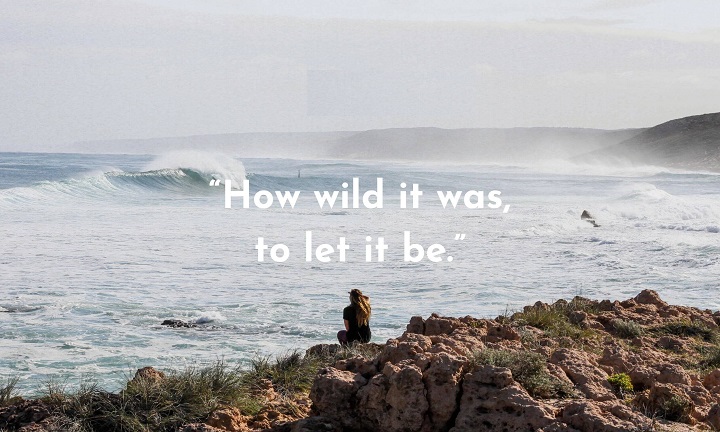 The Most Captivating Nature Captions for Your Instagram Posts